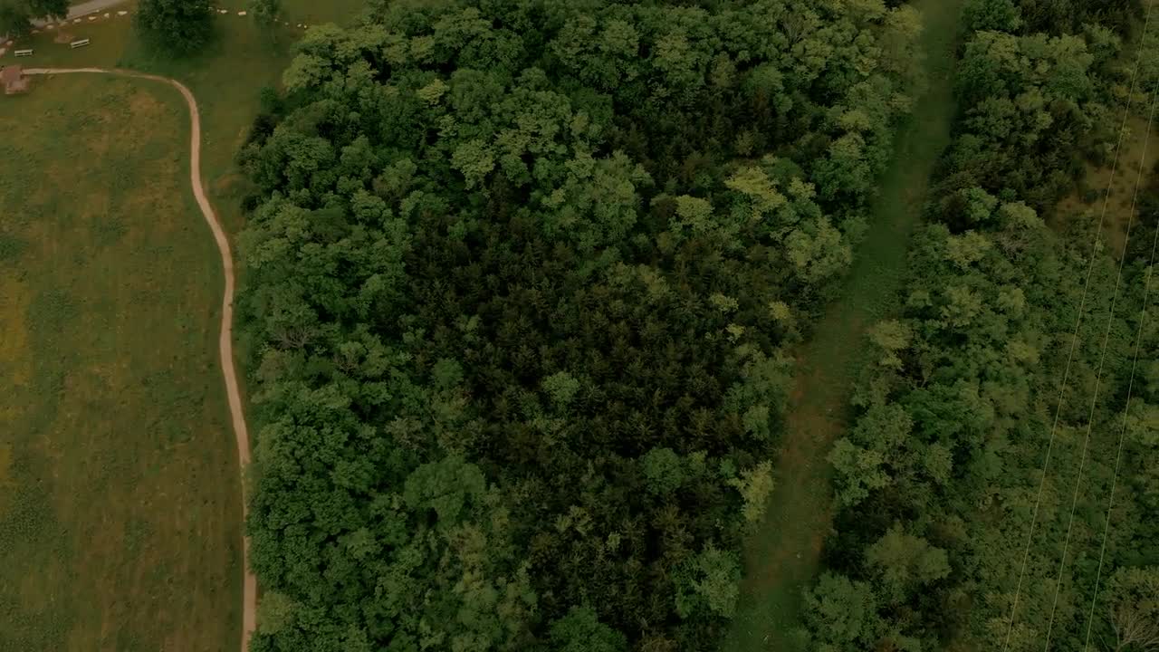 Aerial View Prairie And Trees - Stock Video | Motion Array