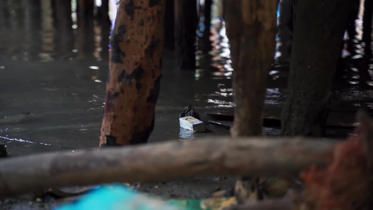 Litter Floating Along Shoreline - Stock Video | Motion Array