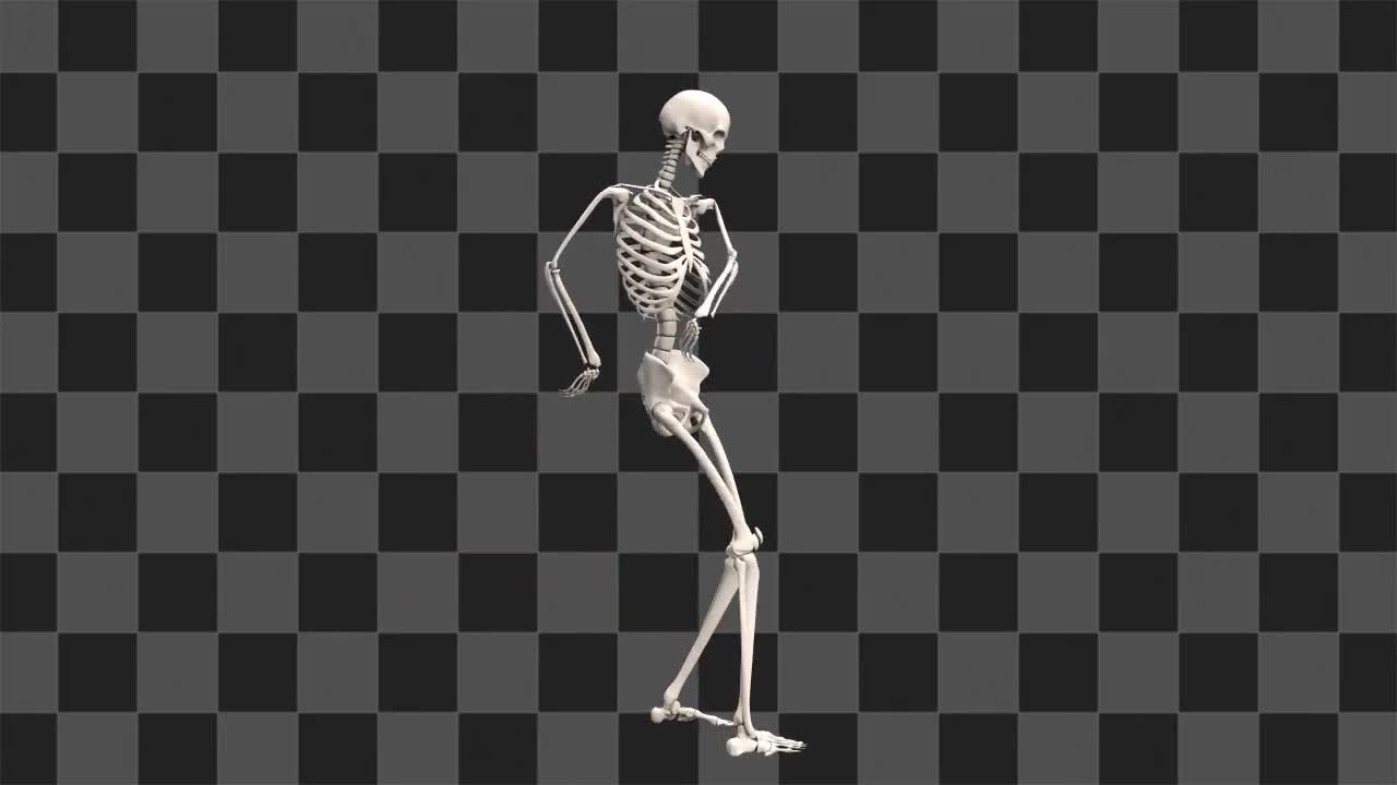 Dancing Skeleton On Alpha - Stock Motion Graphics | Motion Array