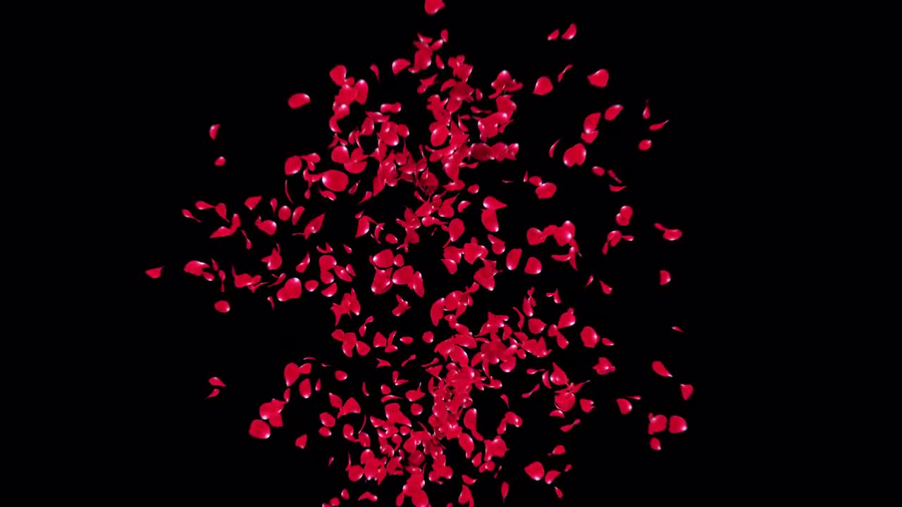 Red Rose Petals Explosion On Alpha - Stock Motion Graphics | Motion Array