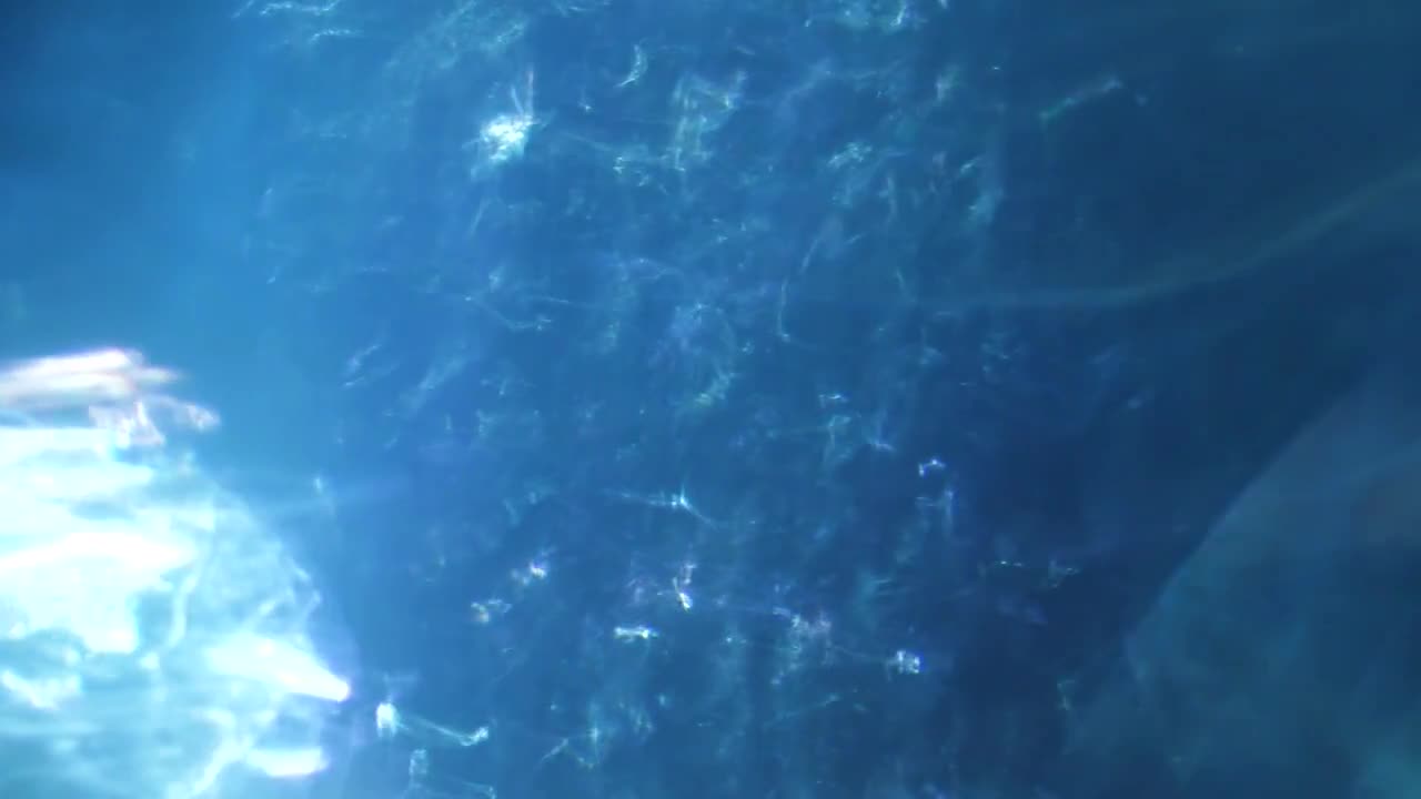 Abstract Icy Light Effects - Stock Video | Motion Array
