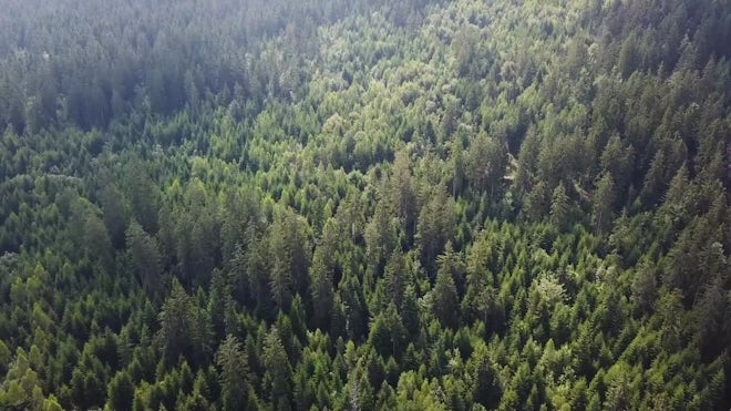 Friendly Skateboarder Illustration - Graphics | Motion Array