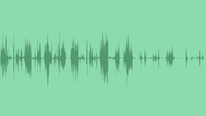 Forest Ambience - Sound Effects | Motion Array