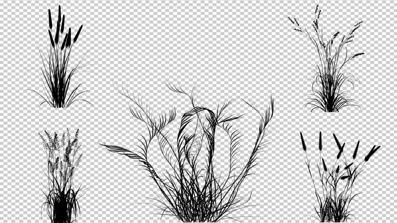 Bushes Of Plants - Stock Motion Graphics | Motion Array