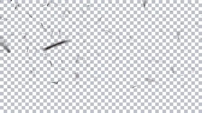 The All-in-One Video & Filmmakers Platform | Motion Array