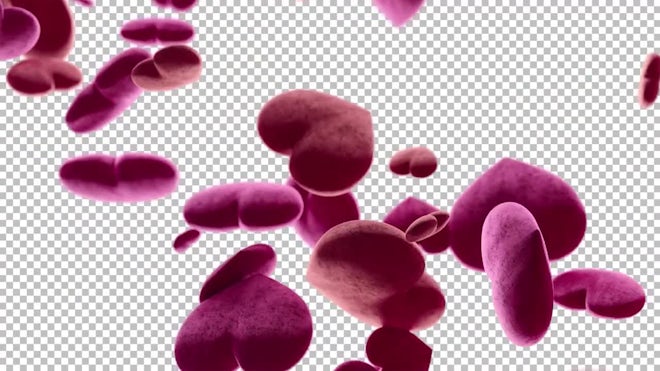 Rotating 3D Heart Loop - Stock Motion Graphics | Motion Array