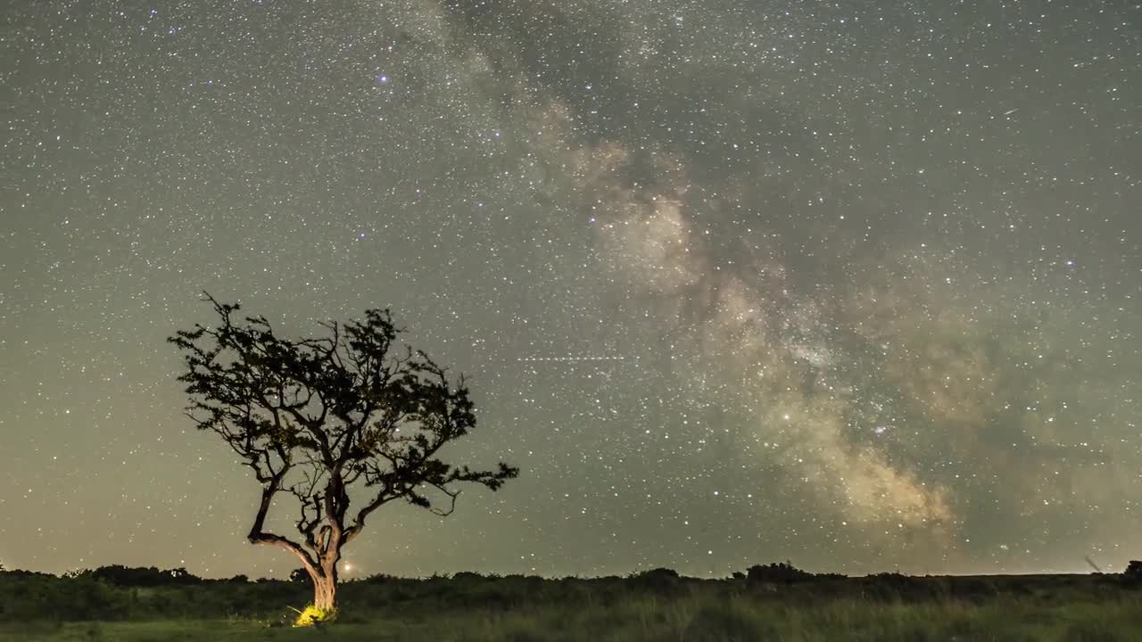 Milky Way And Tree - Stock Video | Motion Array