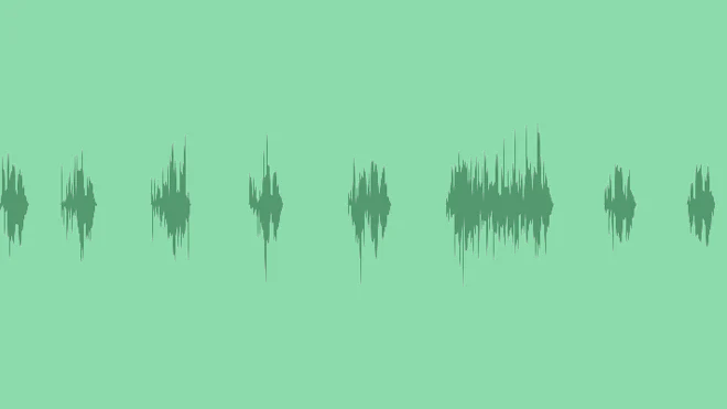 Insect - Sound Effects | Motion Array