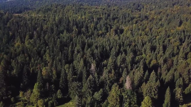 Friendly Skateboarder Illustration - Graphics | Motion Array