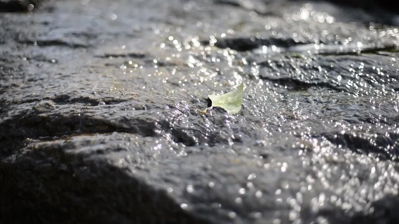 Water Flowing On A Rock - Stock Video | Motion Array