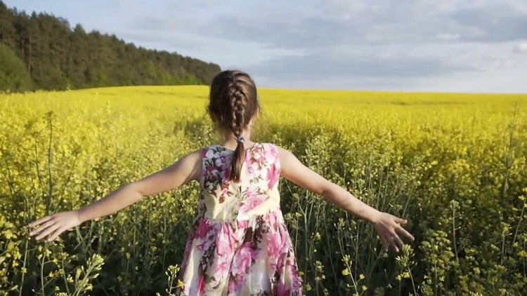 Girl Running In Yellow Flowers Field - Stock Video | Motion Array