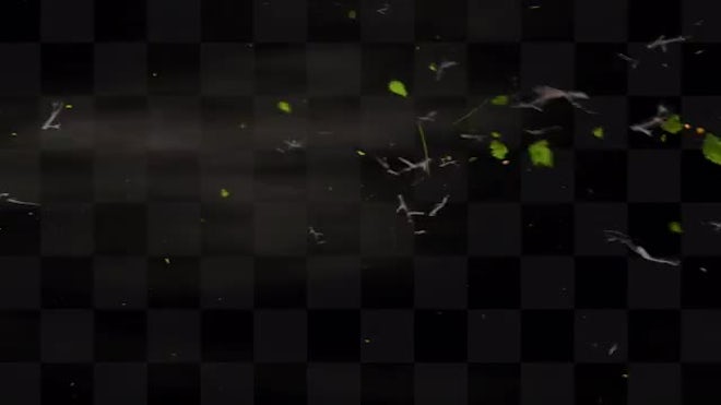 Wind Blowing Leaves And Twigs - Stock Motion Graphics | Motion Array