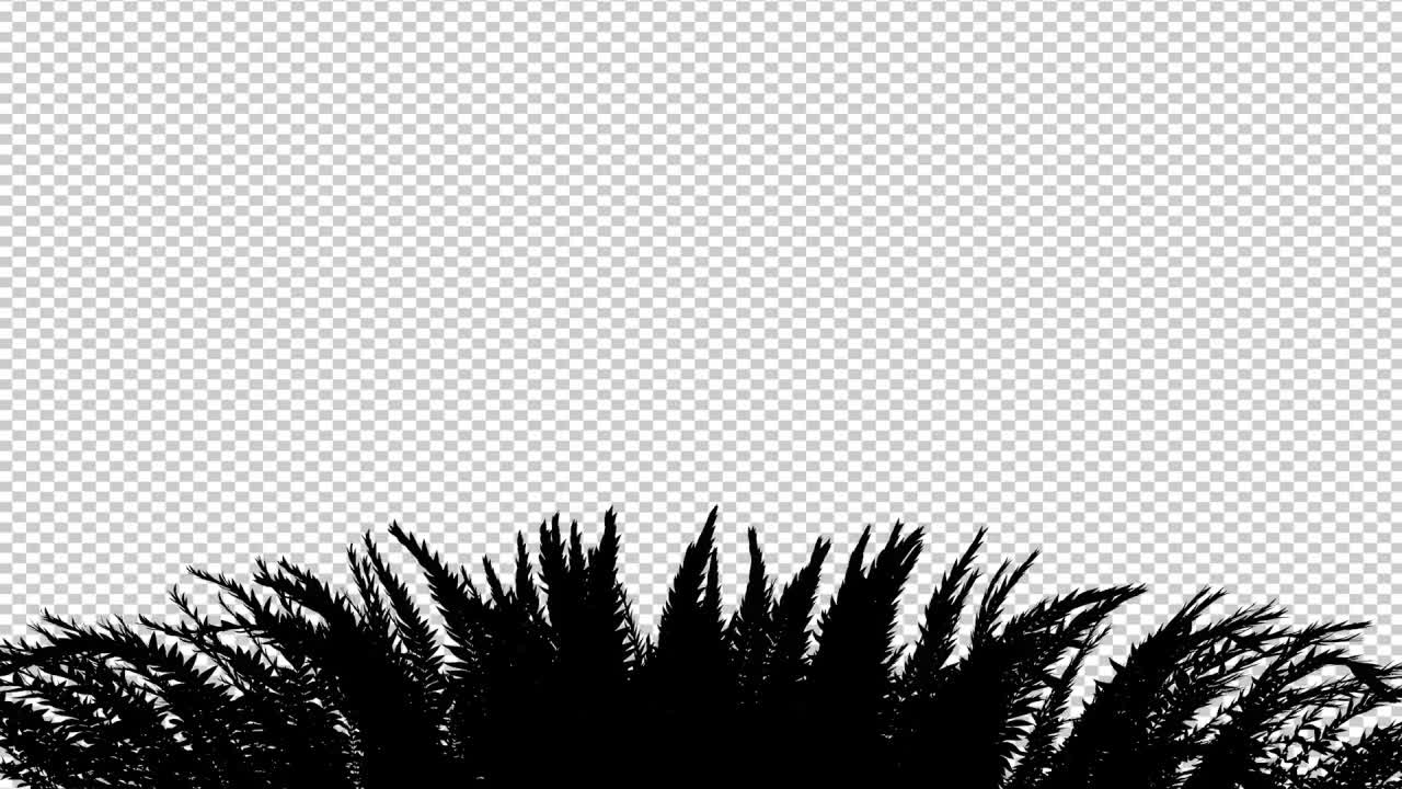 Silhouette Shrubs Swaying Pack - Stock Motion Graphics | Motion Array