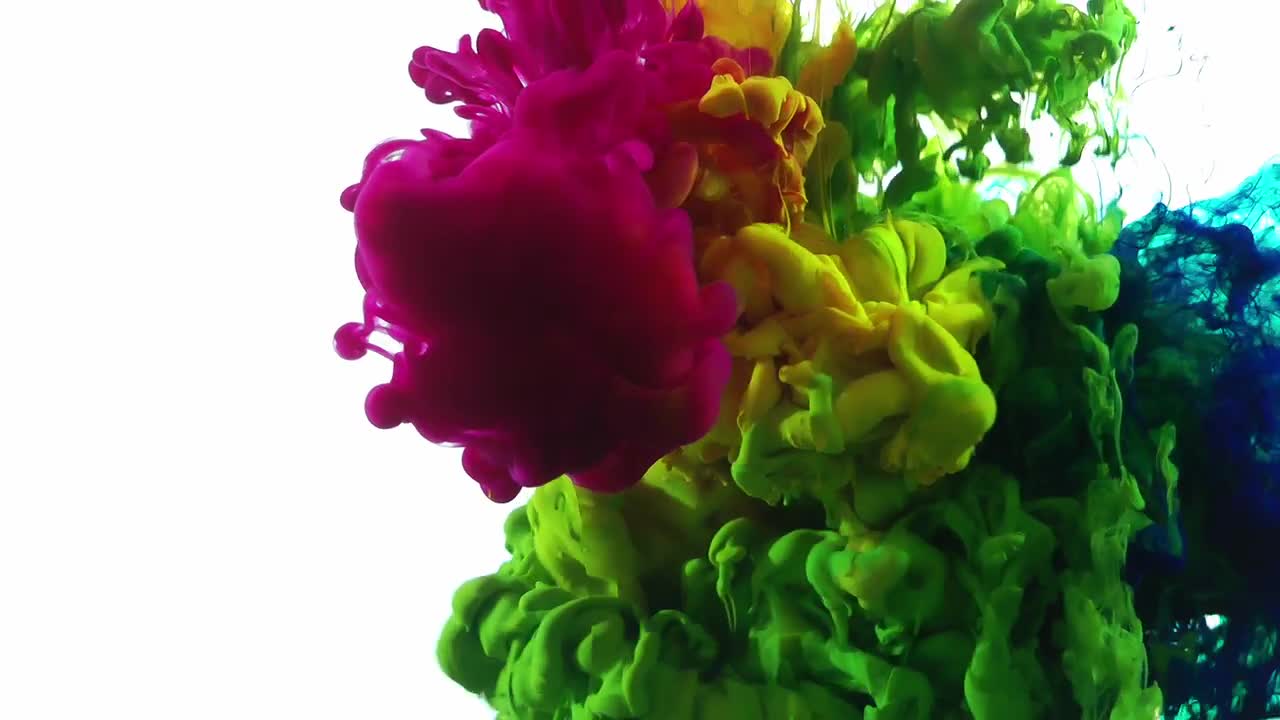 5-Color Ink Drop - Stock Video | Motion Array