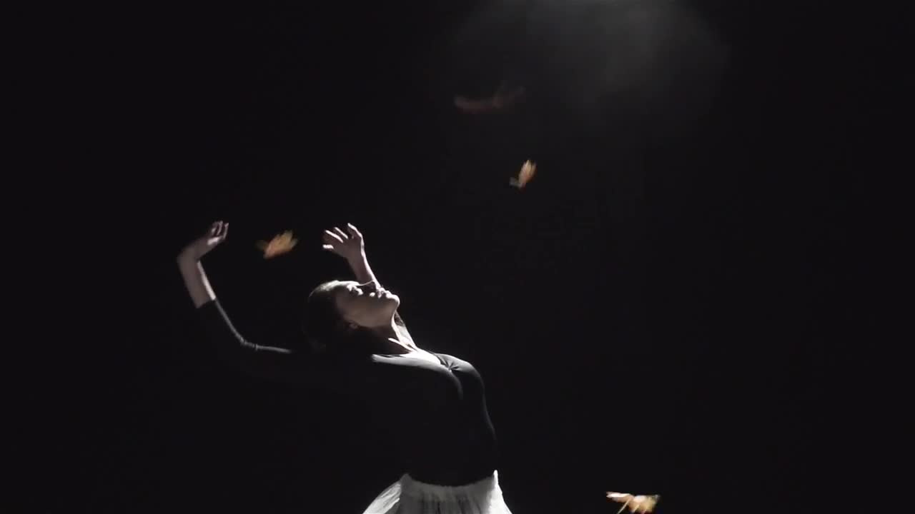 Ballerina In Falling Leaves - Stock Video | Motion Array