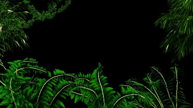 Edge Of The Jungle - Stock Motion Graphics | Motion Array