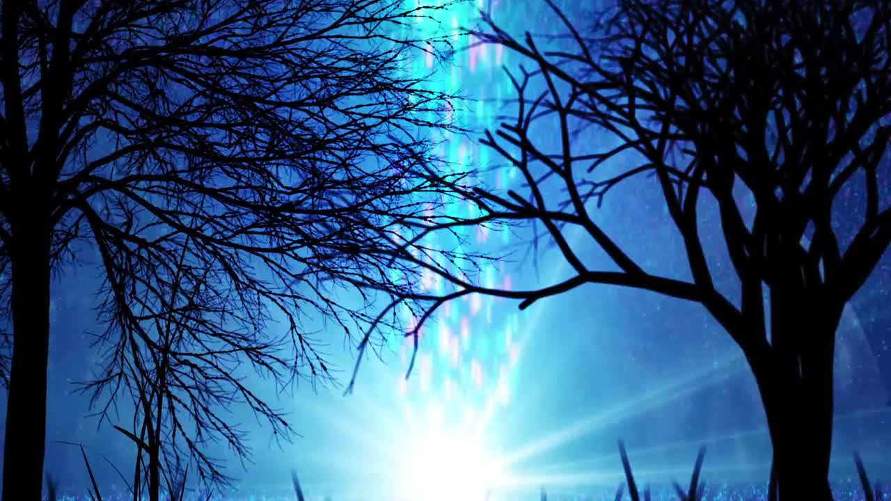 Magic Forest Logo Reveal - After Effects Templates | Motion Array