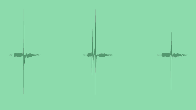 Whip Whoop - Sound Effects | Motion Array