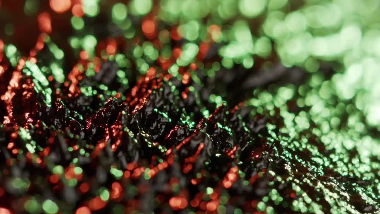 Algae - Stock Video | Motion Array