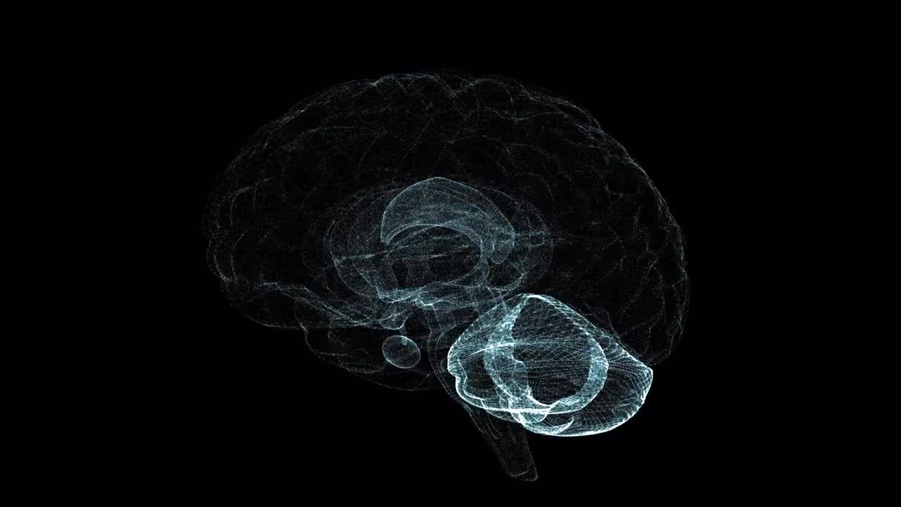 Brain Hologram - Stock Motion Graphics | Motion Array