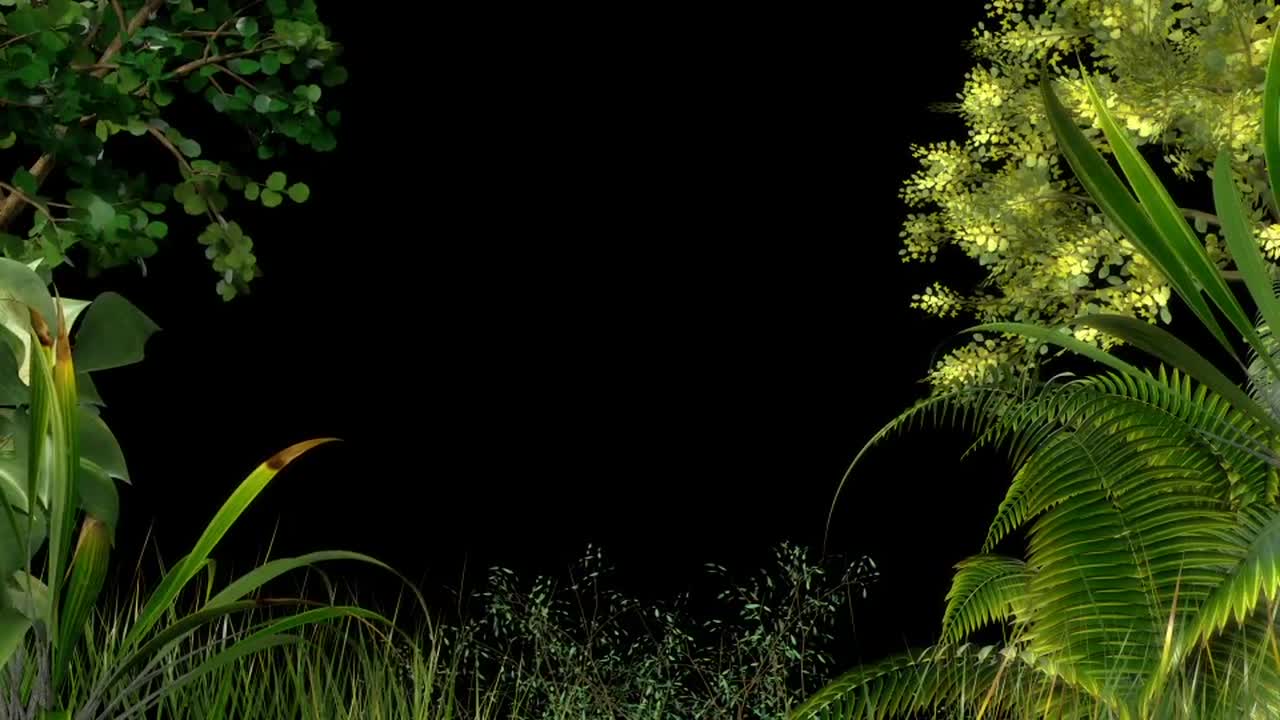 Edge Of Forest Frame - Stock Motion Graphics | Motion Array