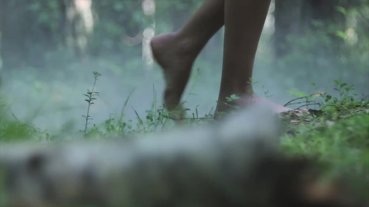 Walking Barefoot In Woods - Stock Video | Motion Array