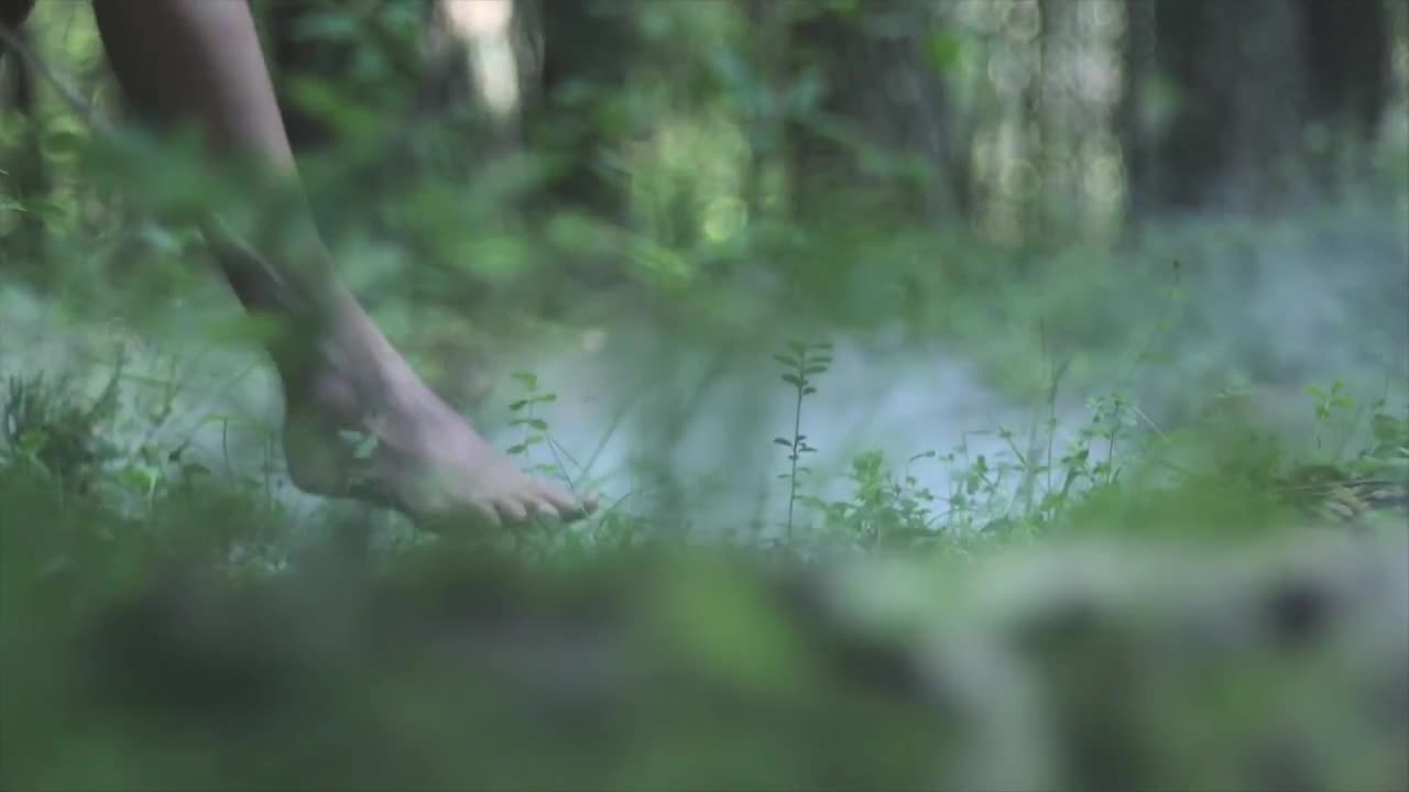 Walks Barefoot In Forest - Stock Video | Motion Array
