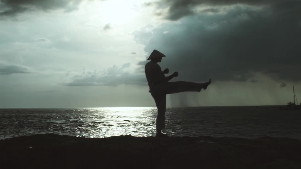 Martial Arts Training - Stock Video | Motion Array