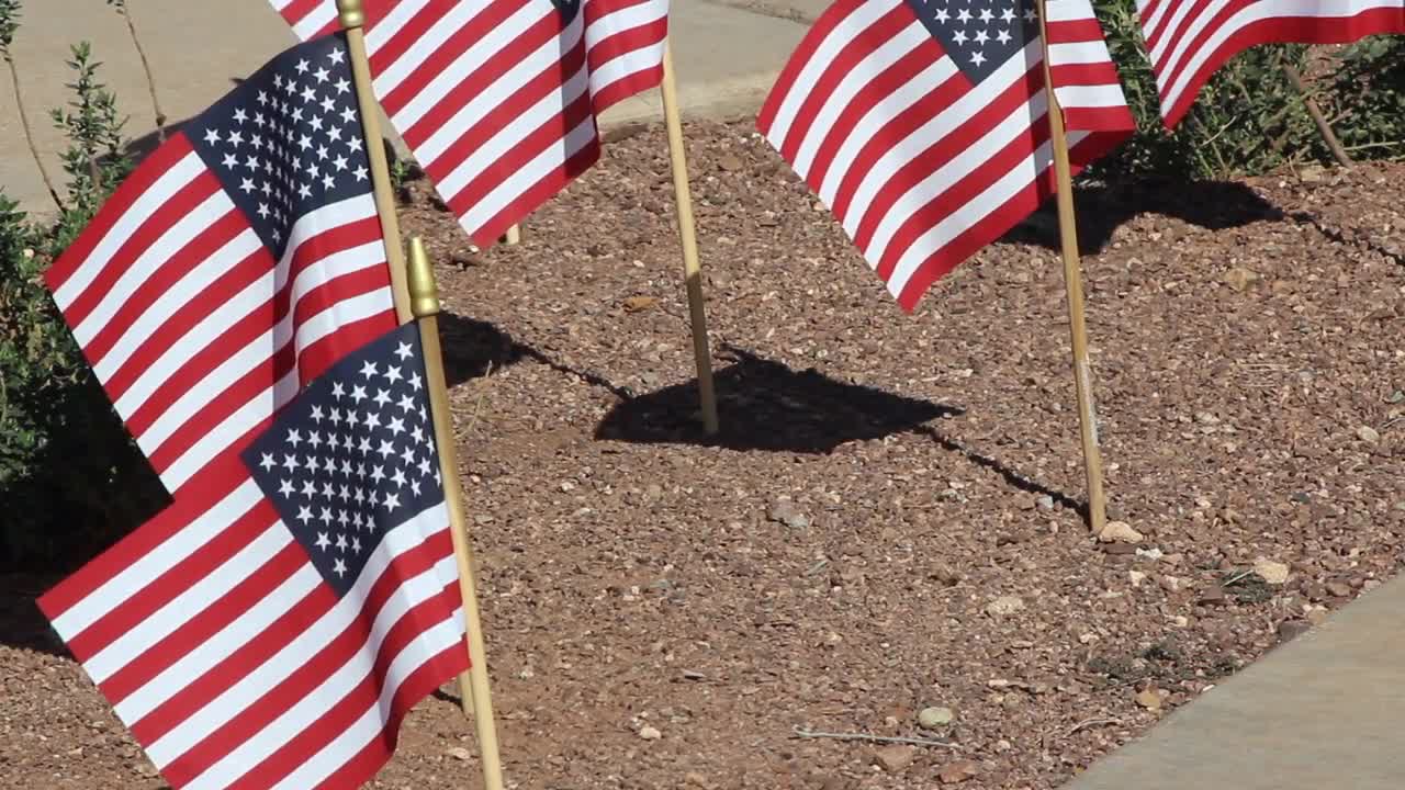 Veteran Walking By American Flags - Stock Video | Motion Array