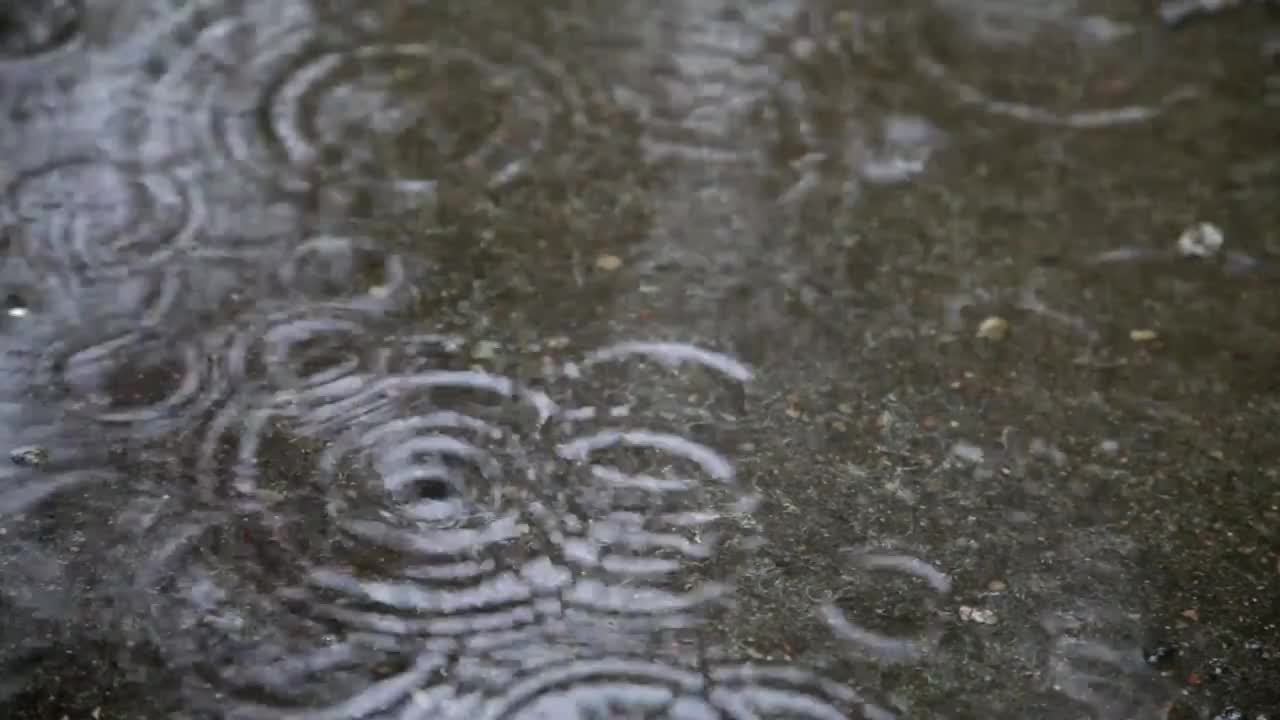 Rain Drops On Ground - Stock Video | Motion Array