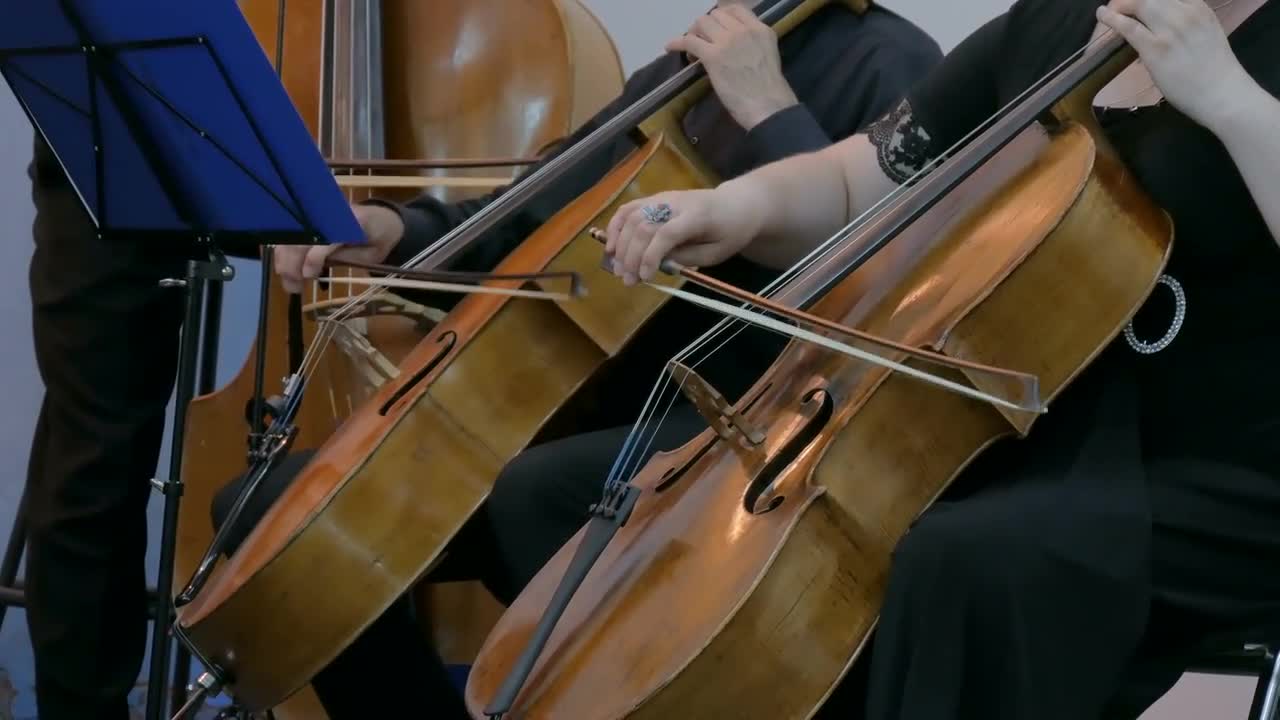 Two People Playing The Cello - Stock Video | Motion Array