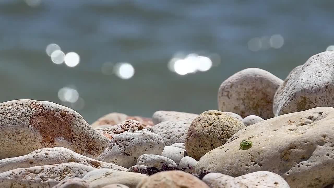 Sea Pebbles - Stock Video | Motion Array