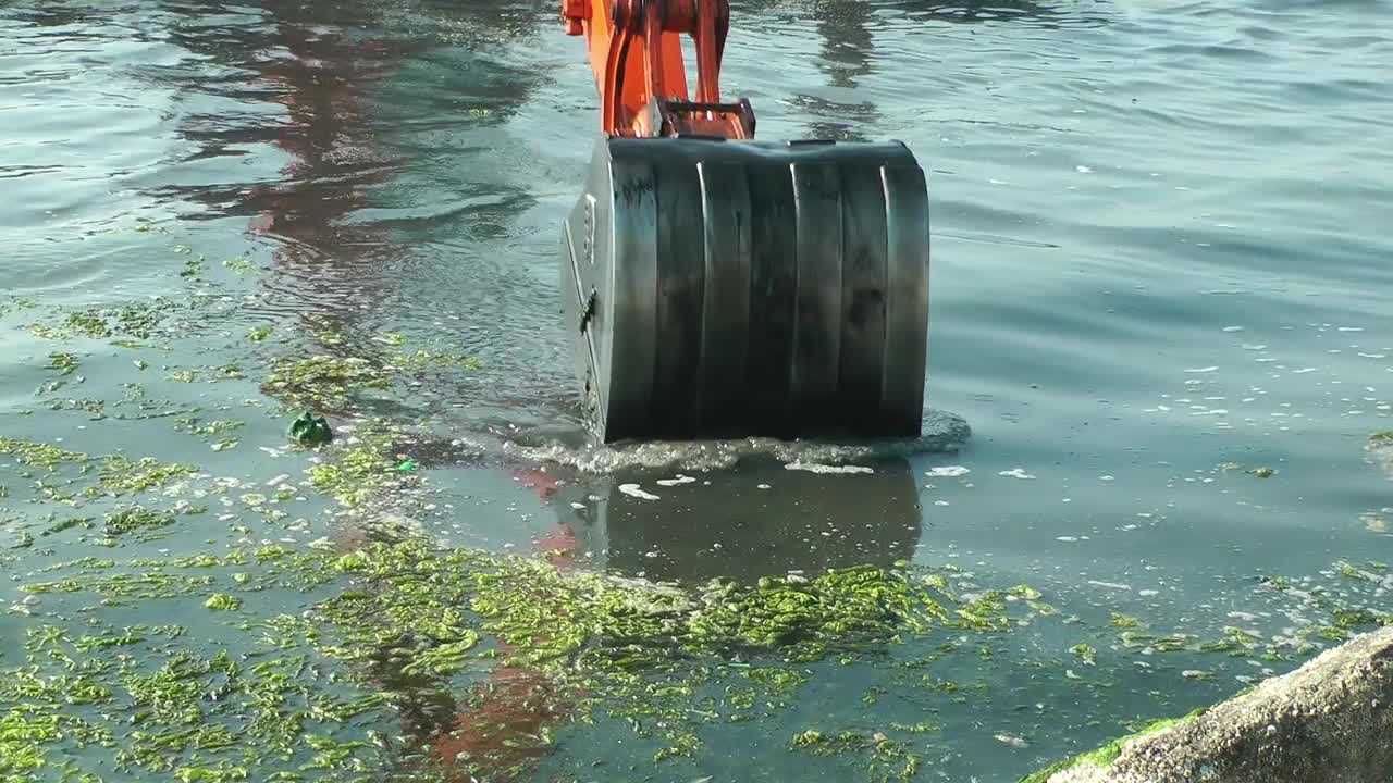 Excavator Removes Marine Pollution - Stock Video | Motion Array