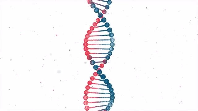 Vertical Bi-Color DNA Chain Loop - Stock Motion Graphics | Motion Array Vertical Bi-Color DNA Chain Loop - Stock Motion Graphics | Motion Array