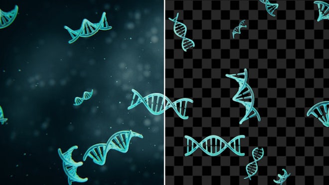 3d Dna Structure Animation