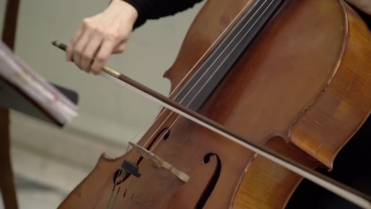 Musician Playing Contrabass - Stock Video | Motion Array