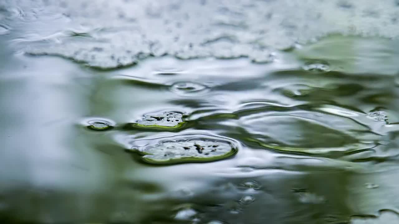 Rain Drops - Stock Video | Motion Array