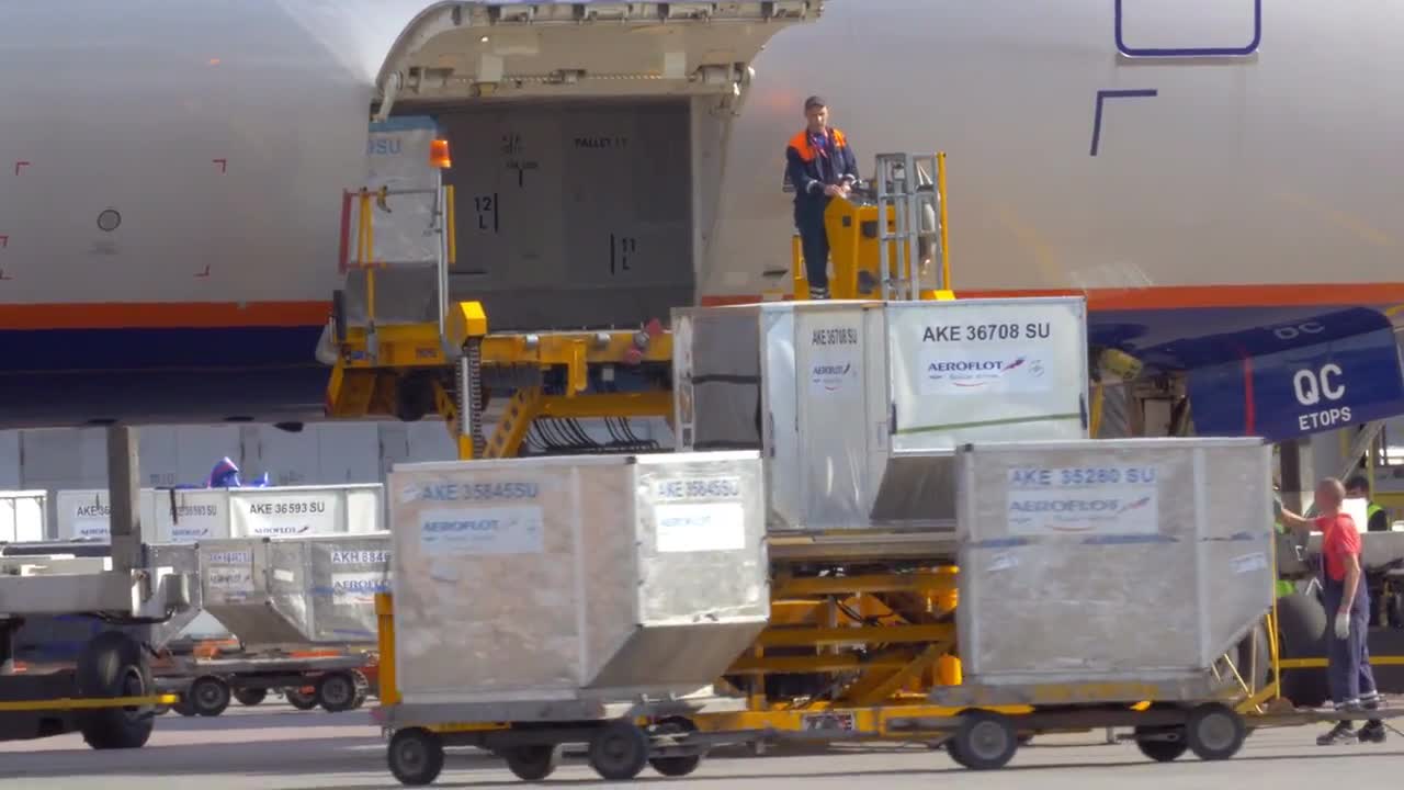 Unloading Cargo From Plane - Stock Video | Motion Array
