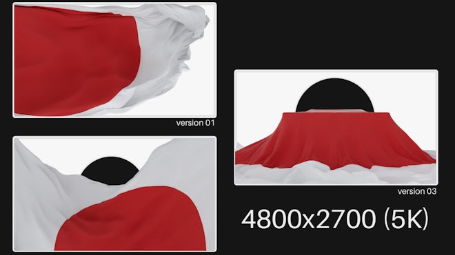 Vietnam Flag Animation Stock Motion Graphics Motion Array