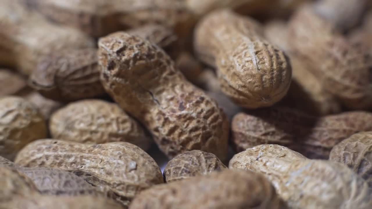 Peanuts Rotating - Stock Video | Motion Array
