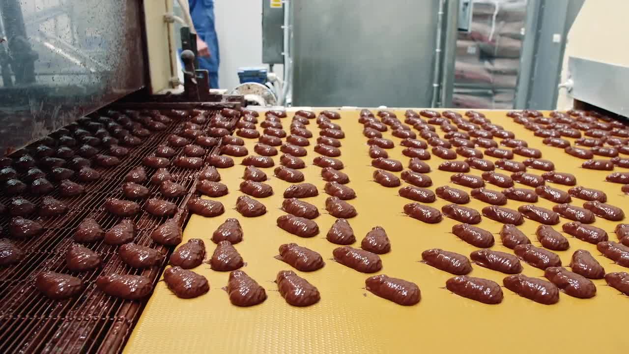Chocolate Conveyor Belt - Stock Video | Motion Array