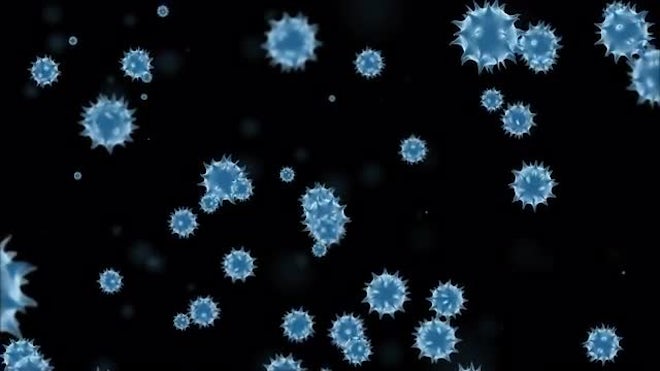 Virus Bacteria - Stock Motion Graphics | Motion Array