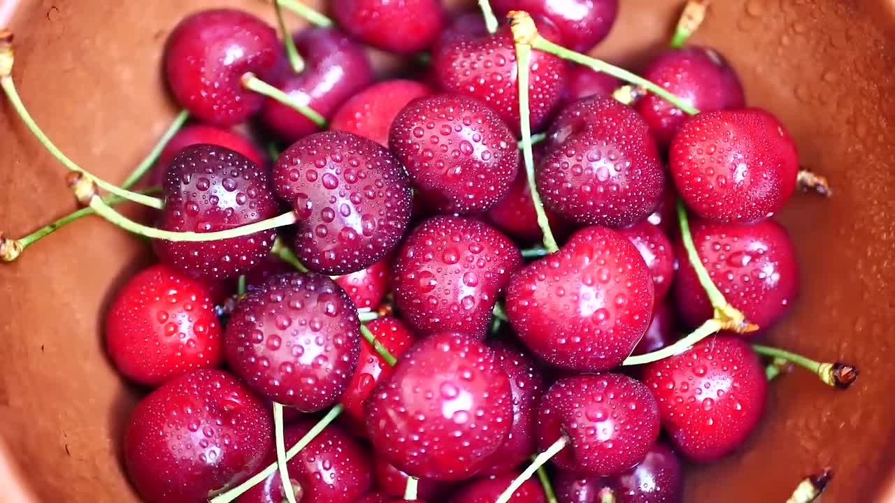 Dark Red Cherry - Stock Video | Motion Array