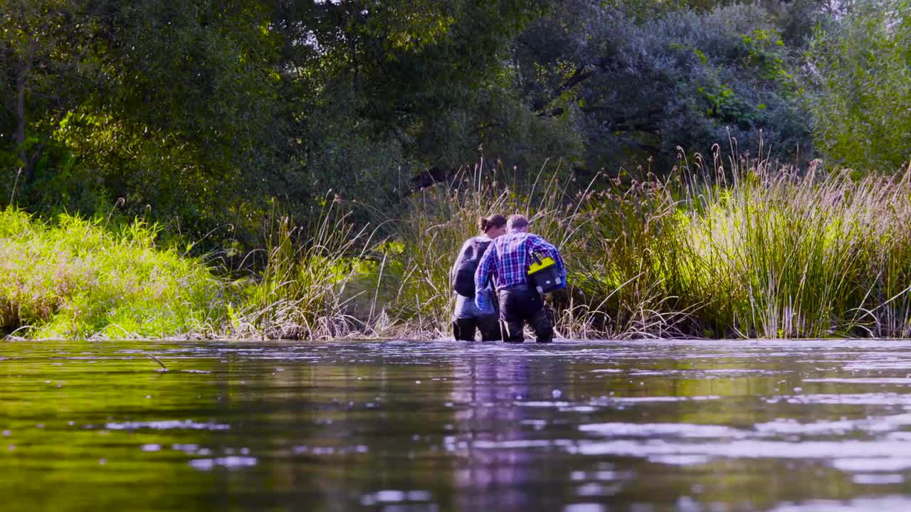 Ecologists In The River - Stock Video | Motion Array