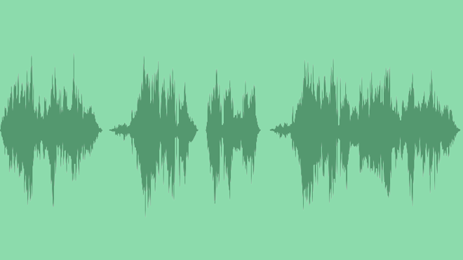 Flies - Sound Effects | Motion Array