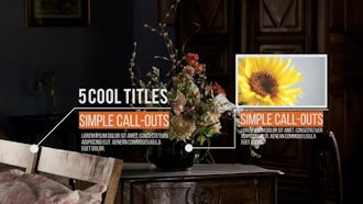 12 Call-Out Titles - Premiere Pro Templates | Motion Array