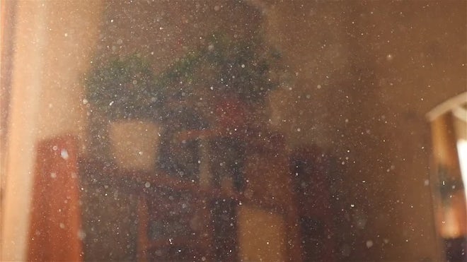 Stock Video Dust | Motion Array