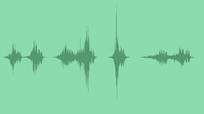 Wind Throws Leaves - Sound Effects | Motion Array