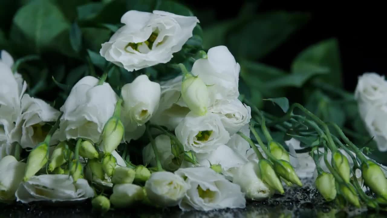 Flowers Falling - Stock Video | Motion Array