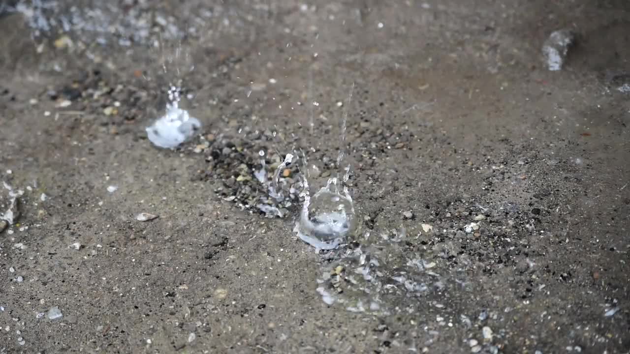 Raindrops Fall On Wet Ground - Stock Video | Motion Array